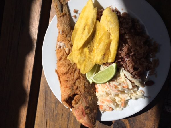 Viajar a Roatán por tu cuenta. Consejos, cómo ir y qué ver 🧡