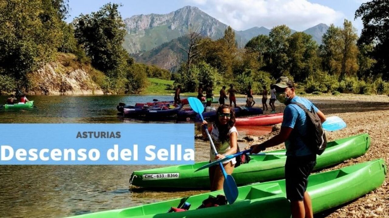 Deber pañuelo de papel otro cuanto dura el descenso del sella Volverse Haz lo mejor que pueda ...