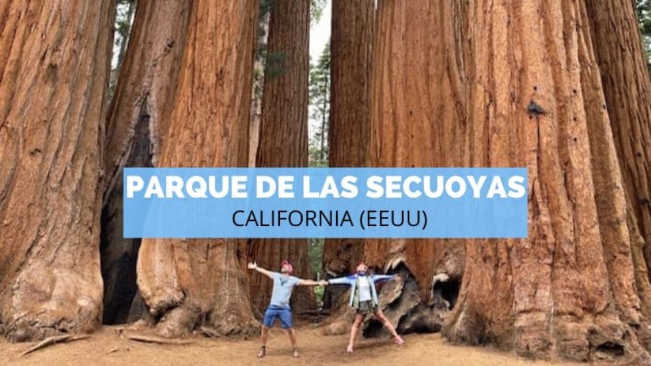 Mapa De Las Secuoyas De California Merced Grove Hi Res Stock