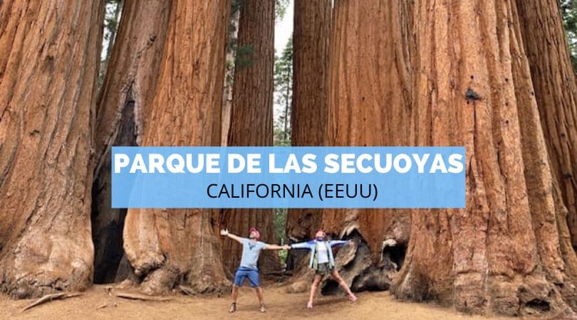 Parque de las SECUOYAS de California (EEUU): Qué ver en 1 día